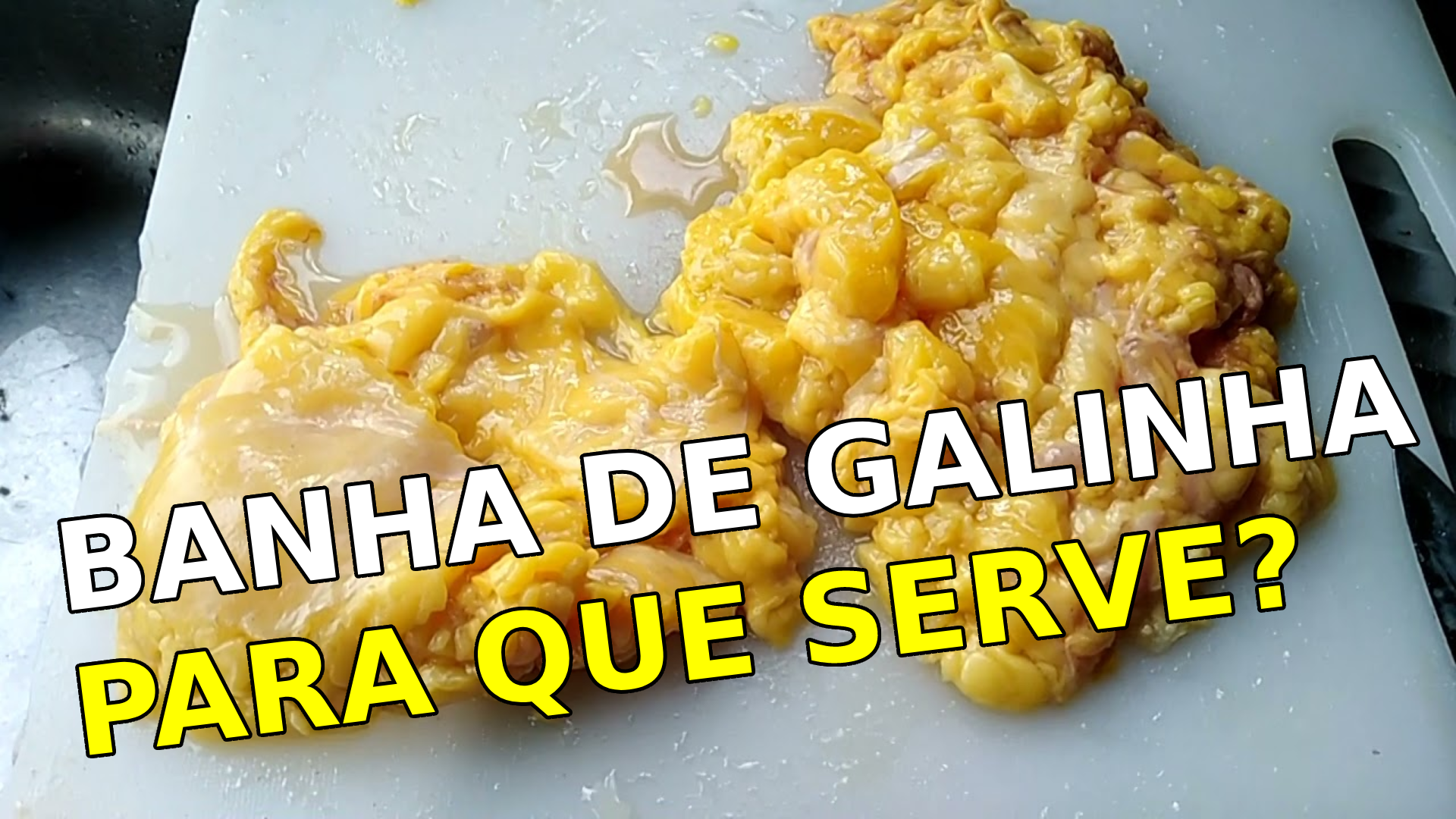Banha de galinha para que serve? Benefícios e Utilizações